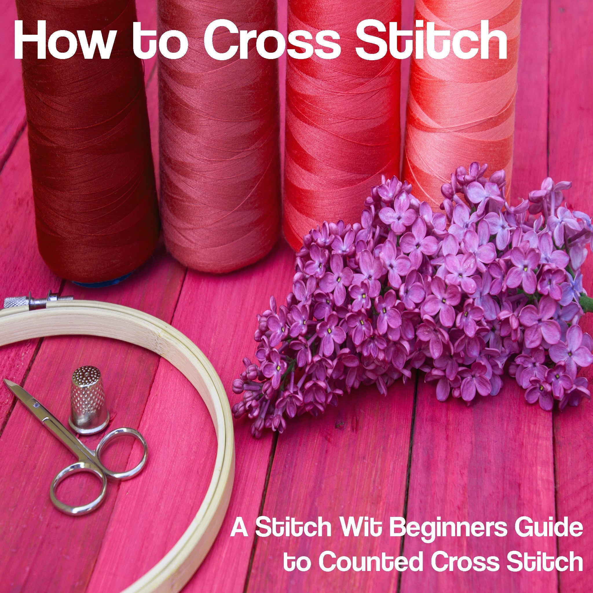 How to Cross Stitch: A Stitch Wit Beginners Guide to Counted Cross Sti